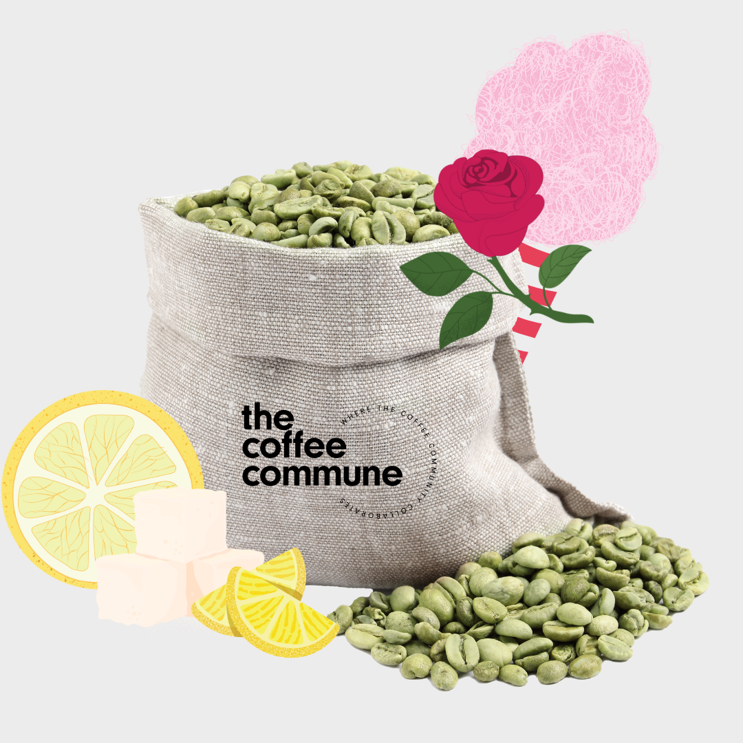 COLOMBIA - FINCA EL DIVISO - TYPICA - WASHED EXTENDED FERMENTATION ...