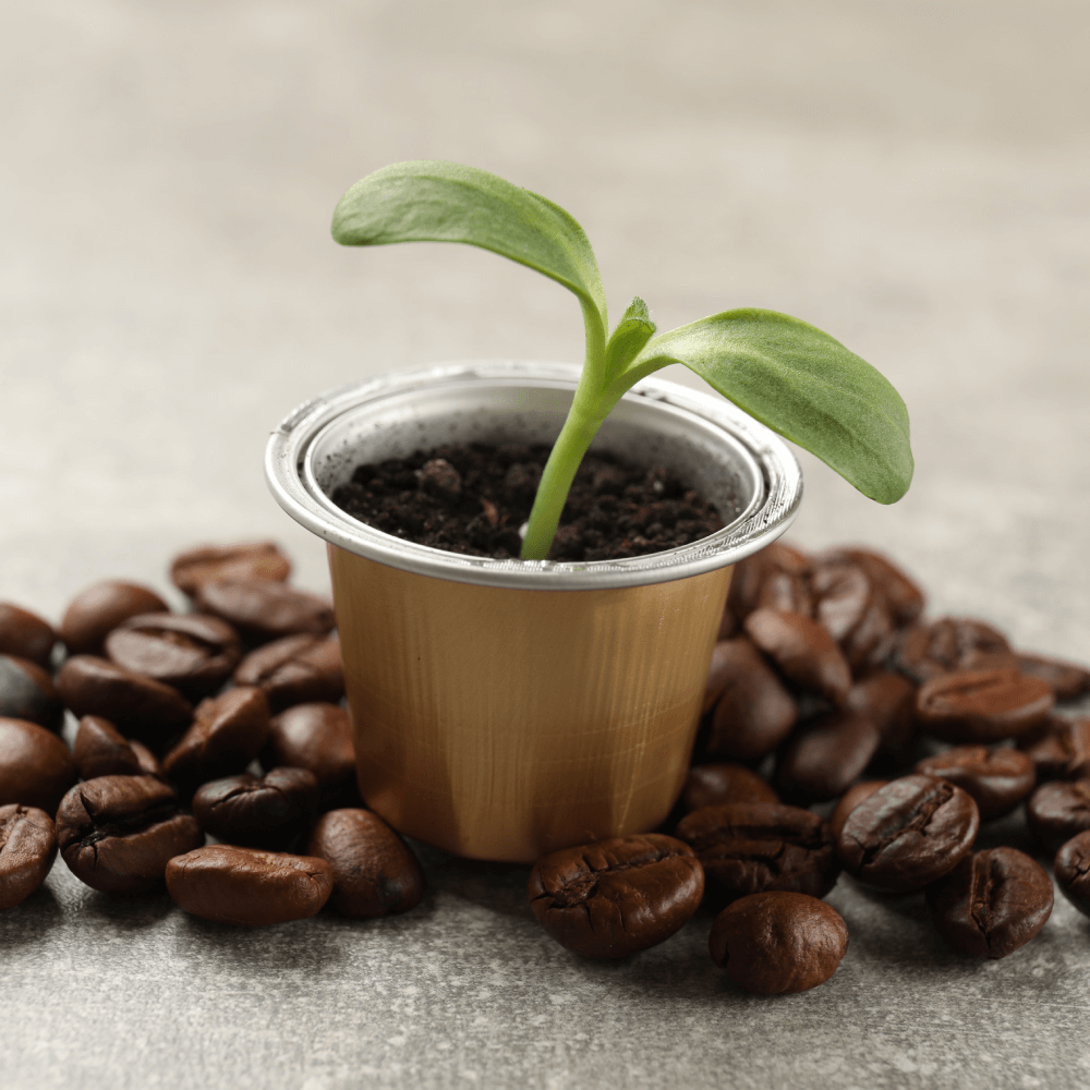 Capsules – Private Coffee Collection