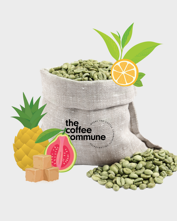 PNG - NEBILYER VALLEY - A GRADE - HONEY PROCESS – Private Coffee Collection